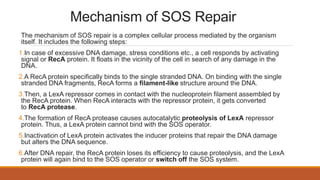 Sos repair | PPTX