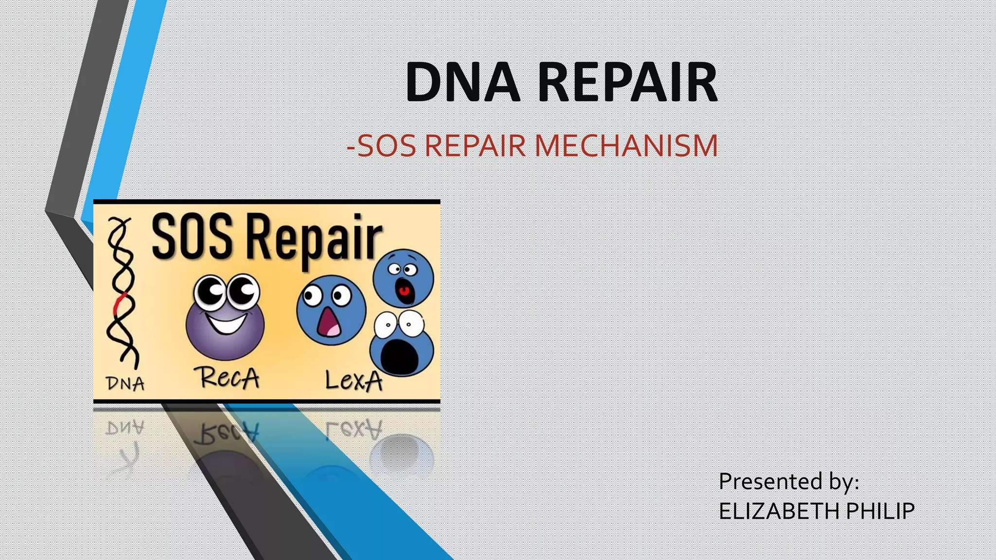 SOS repair mechanism.pptx