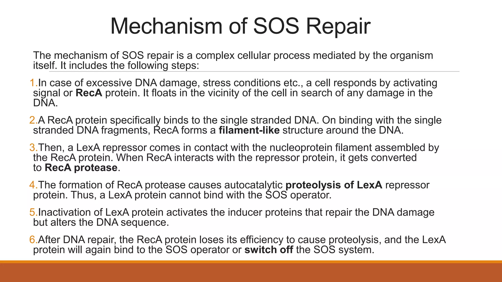 SOS repair mechanism.pptx
