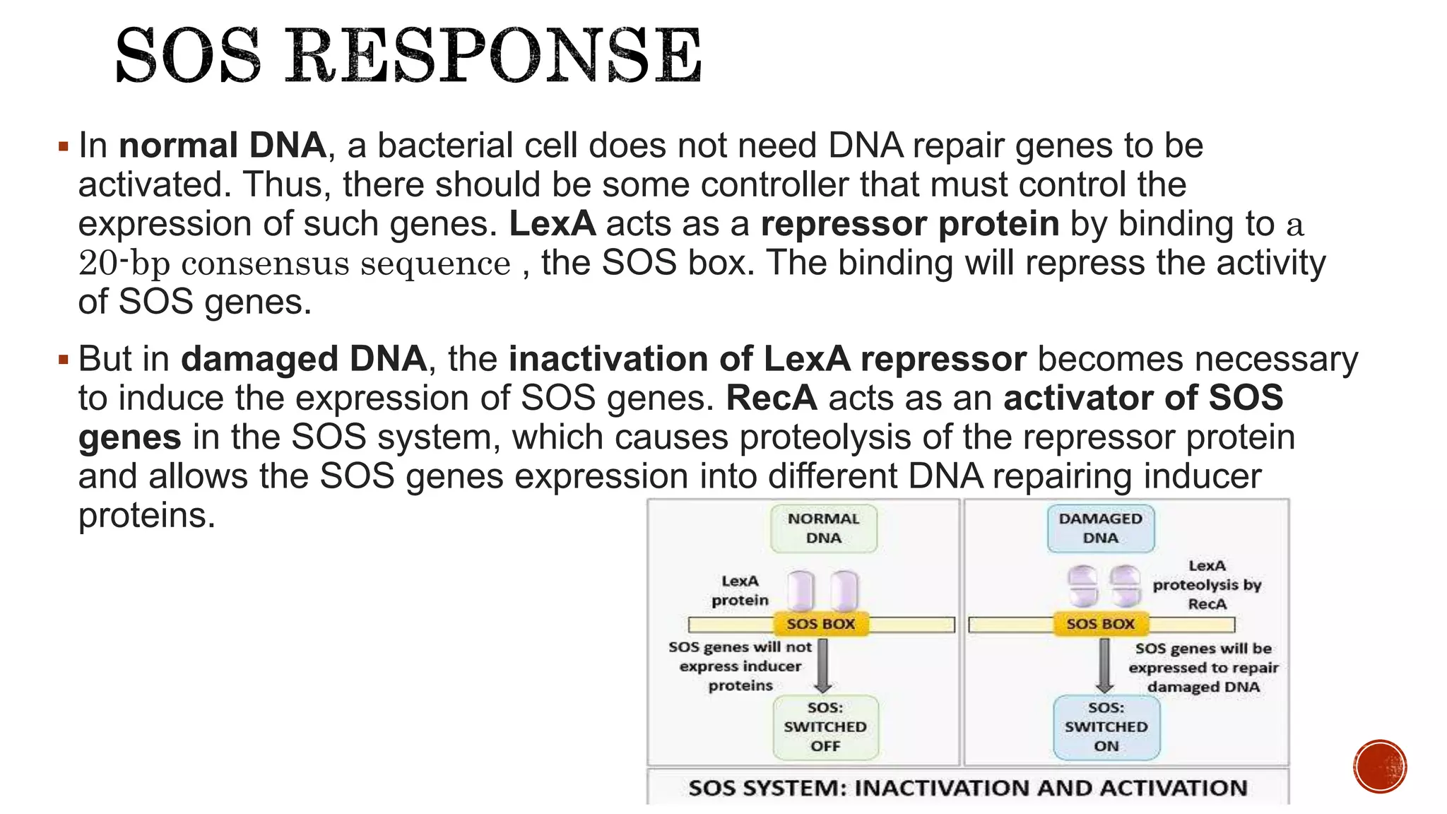 SOS repair mechanism.pptx