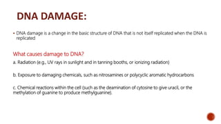 SOS repair mechanism.pptx
