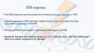 SOS repair mechanism.pptx