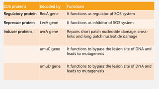 SOS repair mechanism.pptx