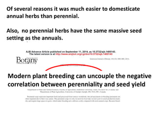 Breeding for life. How perennial crops keep the soil in place, increase ...