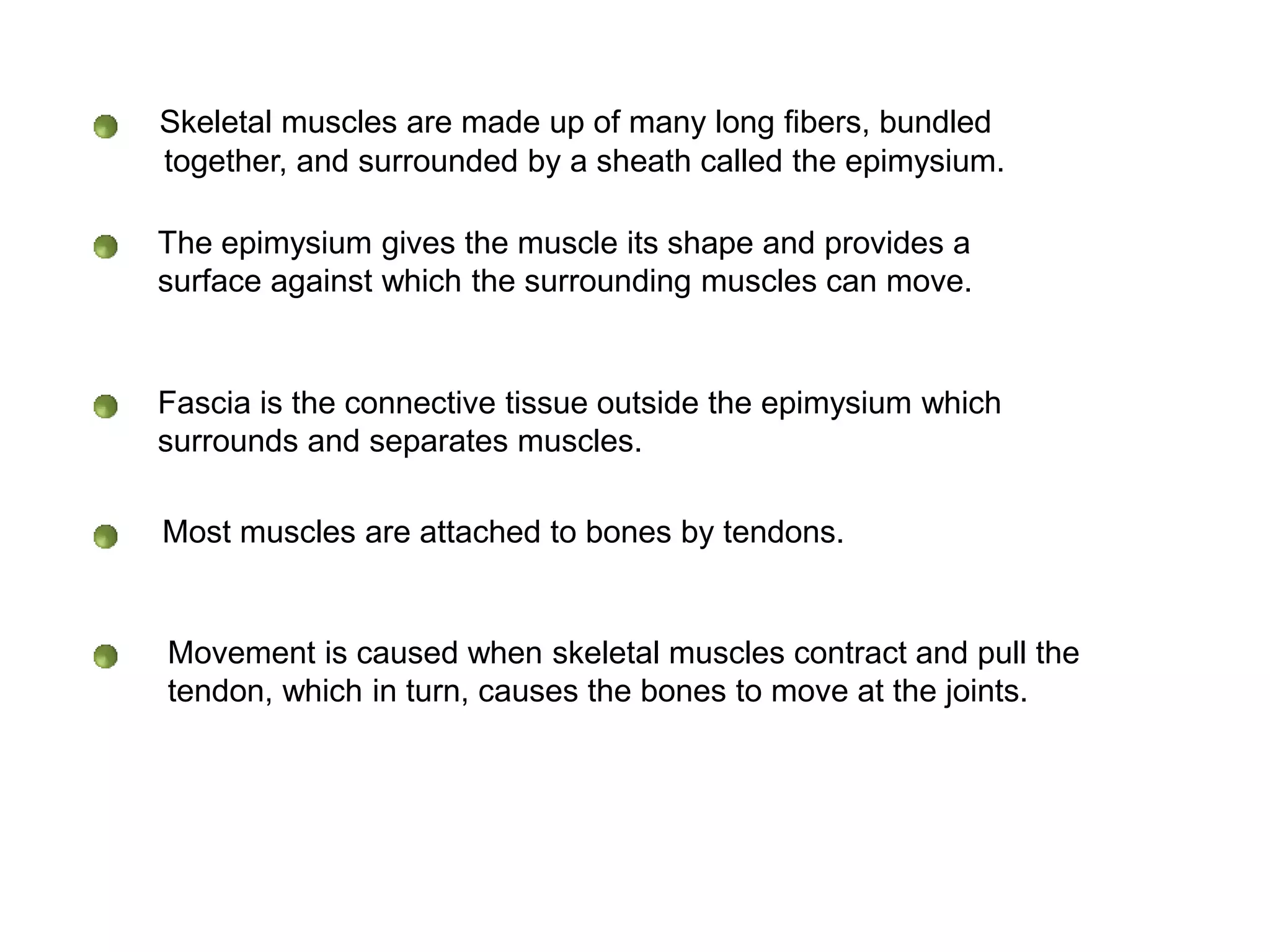 Physiological principles of sotai ho. | PPTX