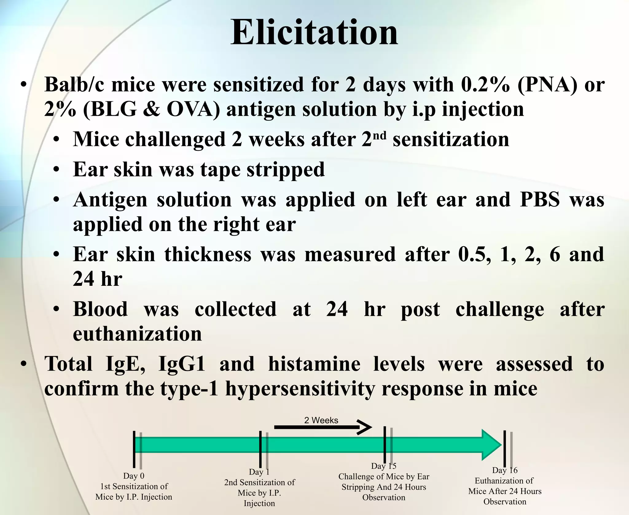 Mouse Model of Allergy | PPT | Allergies | Diseases and Conditions