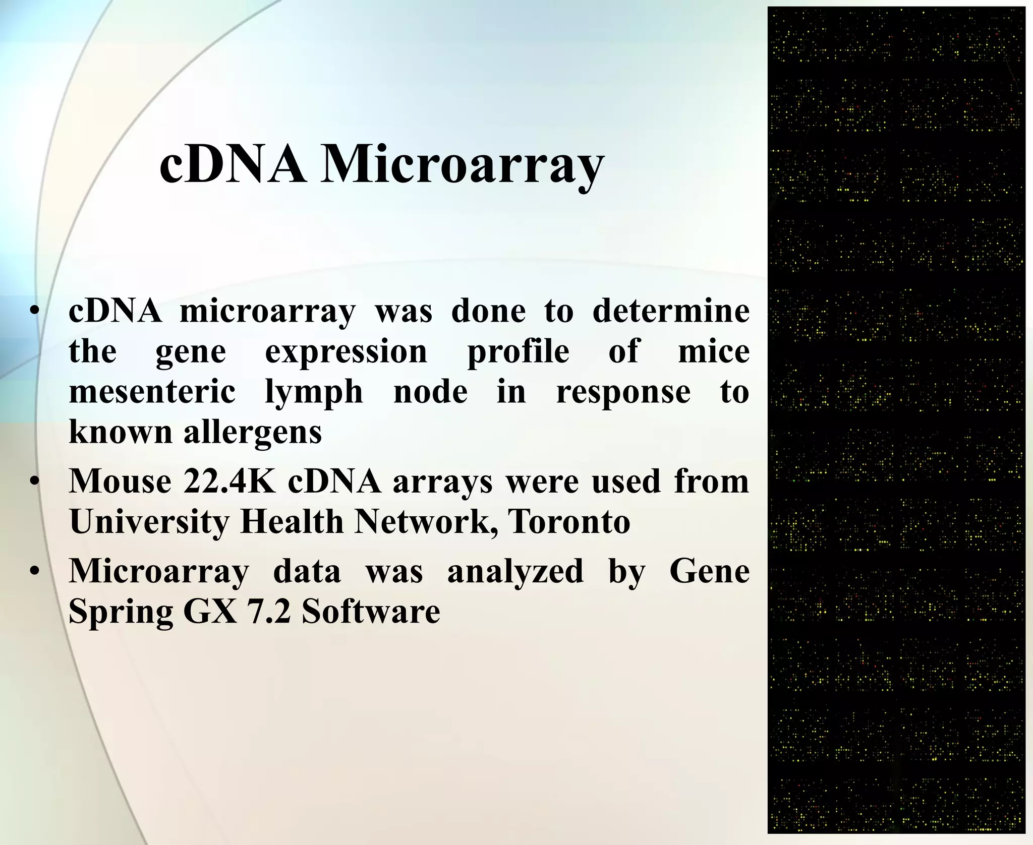 Mouse Model of Allergy | PPT | Allergies | Diseases and Conditions