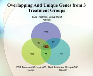 Mouse Model of Allergy | PPT | Allergies | Diseases and Conditions