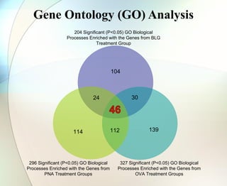 Mouse Model of Allergy | PPT | Allergies | Diseases and Conditions