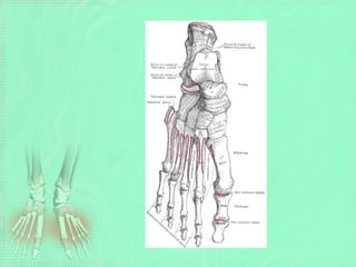 Gait Dysfunction and Foot Biomechanics | PPTX