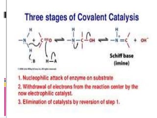 covalent and electrostatic catalysis | PPTX