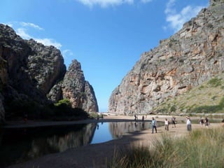 Souhir medamine | PPT