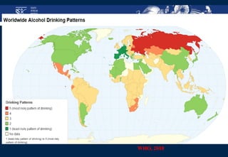 Soul city phuza wise campaign meeting c parry | PPT