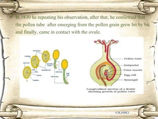 REPRODUCTION OF ANGIOSPERMS- A HISTORICAL BACKGROUND | PPTX