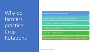 UTILITY AND IMPORTANCE OF CROP ROTATION BY Soumen pramanik | PPT