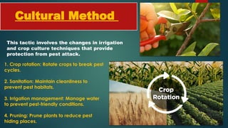 Integrated Pest Management (IPM)- Future to sustainable agriculture | PPT