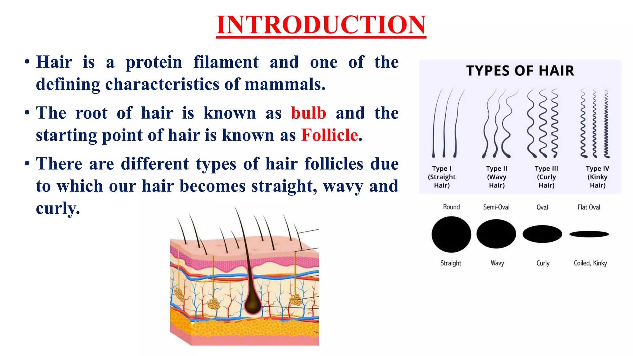 Chemistry Behind Hair Straightening | PDF