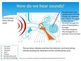 Sound | PPT