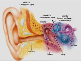 Sound grade 7 | PPTX