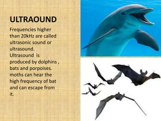 Sound.ppt