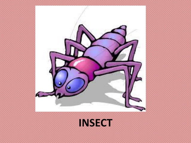 Sound i vocabulary | PPT