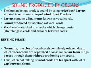 Sound :How its produced and propagated | PPTX