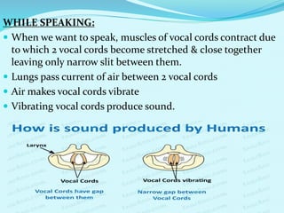 Sound :How its produced and propagated | PPTX
