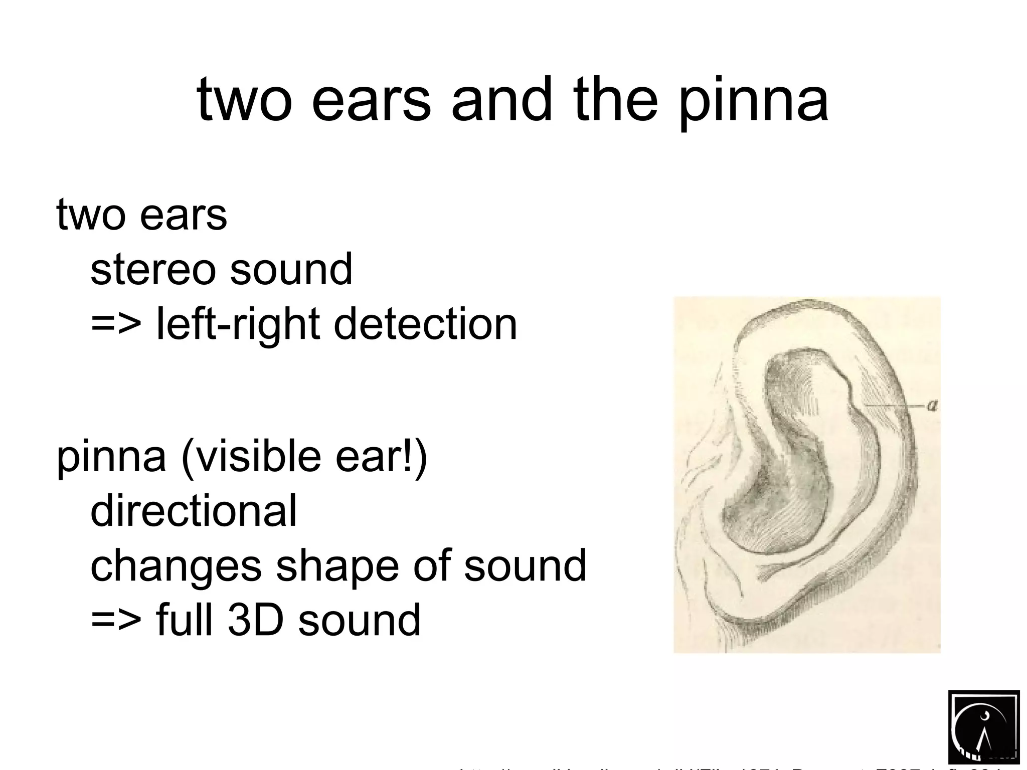 The Human: Sound and hearing | PPT