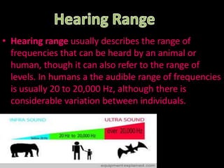 Sound project | PPTX