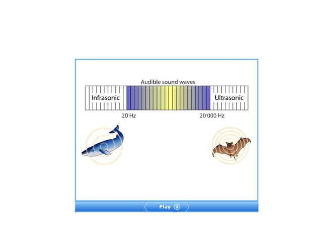 The Sound Energy. power point presentation | PPT | Physics | Science