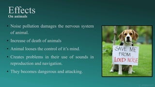 Sound Pollution | PPT