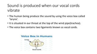 Sound-week 1.pptx