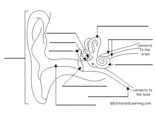 sound 2 Sem basic physics INCLUDING RADIOLOGICAL PHYSICS | PPTX