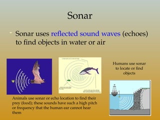 sound and waves and properties BY MONA ATEF .pptx
