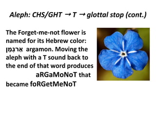 Sound changes in (Proto-) Hebrew | PPT