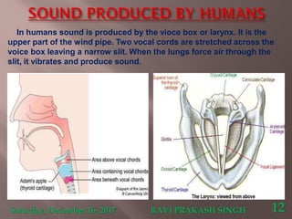 Sound chapter 12 class-8 | PDF