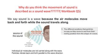SOUND Chapter 13 ( Phy).pptx