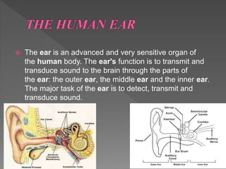 Sound class 8 | PPTX