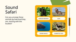 Sound -The Science Behind Sound and Vibrations.pptx