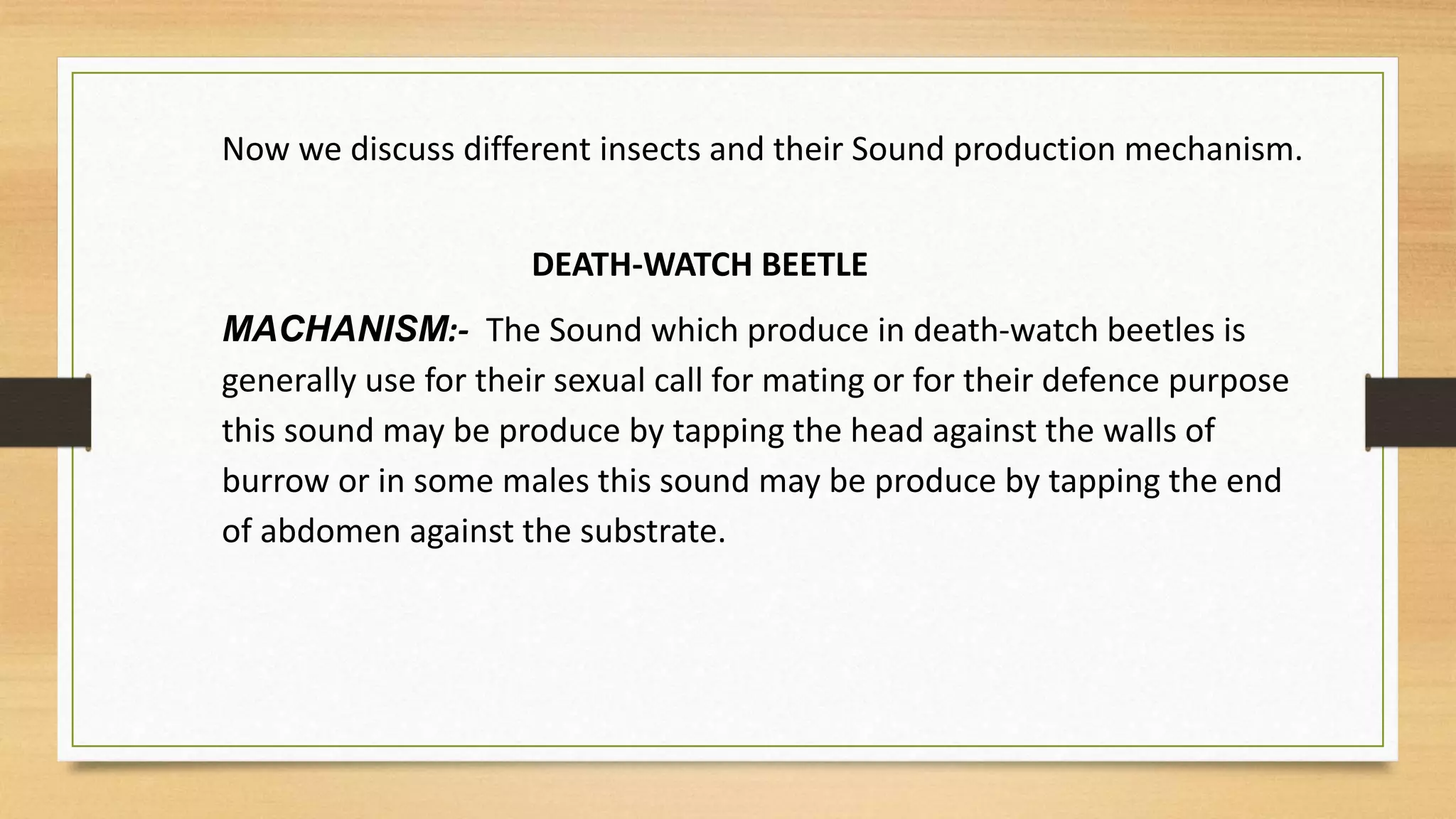 INSECTS SOUND PRODUCTION MACHANISM | PPTX