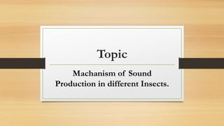 INSECTS SOUND PRODUCTION MACHANISM | PPTX