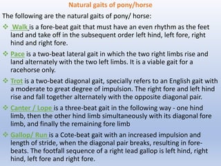 SOUNDNESS .pptx | Death, Injury, or Military Conflict | Sensitive Topics