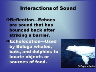 Sound notes ipad | PPT