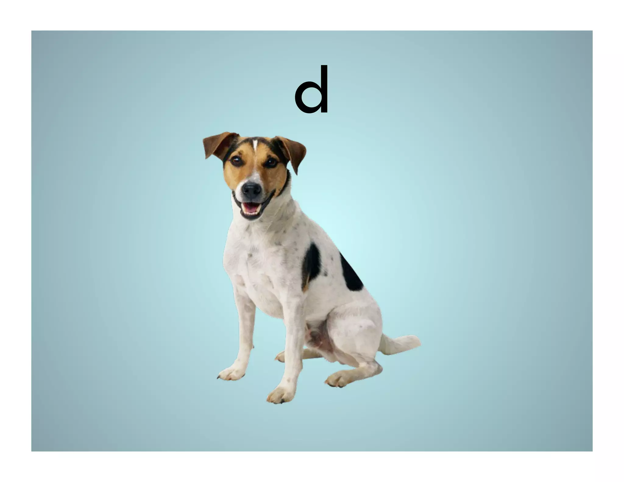 Sound Out the Alphabet for Mrs Wallnau | PDF