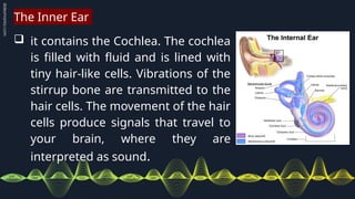 Sound Powerpoint presentation for grade 7..pptx
