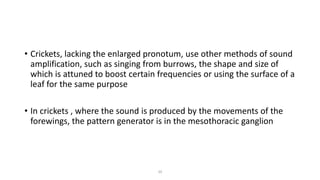 Sound production in crickets.pptx