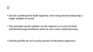 Sound production in crickets.pptx