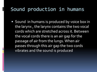 Sound production in humans | PPT