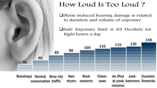 Audible Range and Noise Pollution | PPTX
