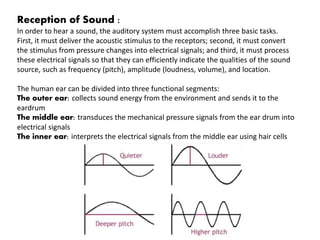Sound resounance | PPT